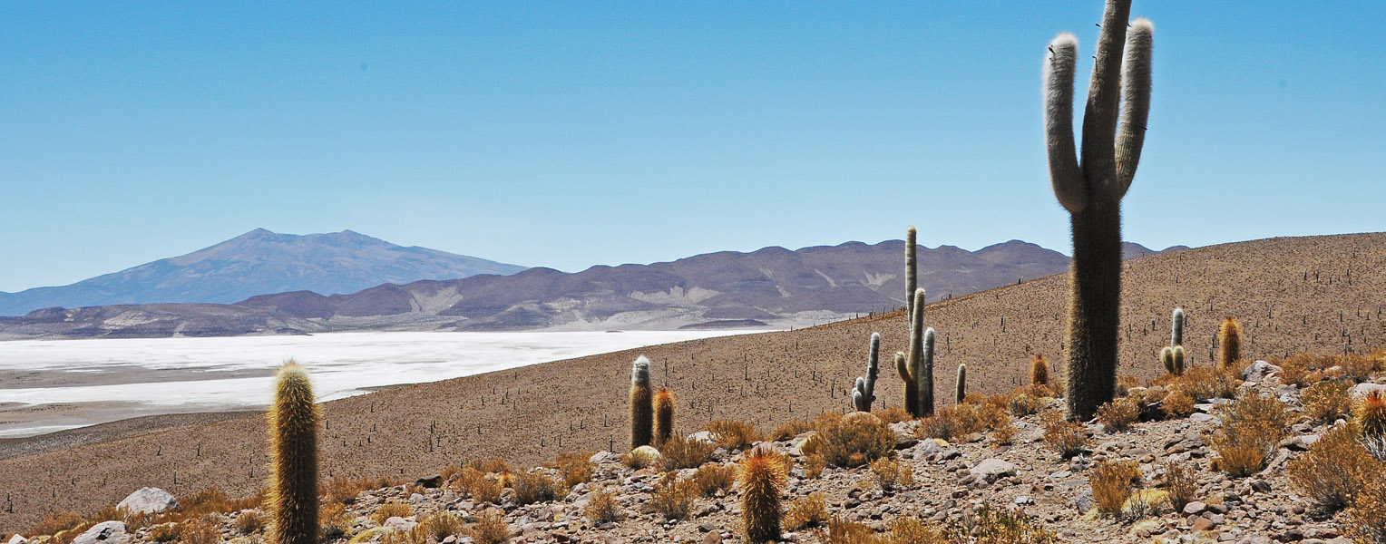 Colchane – Tarapaca Es Tuyo – Sernatur